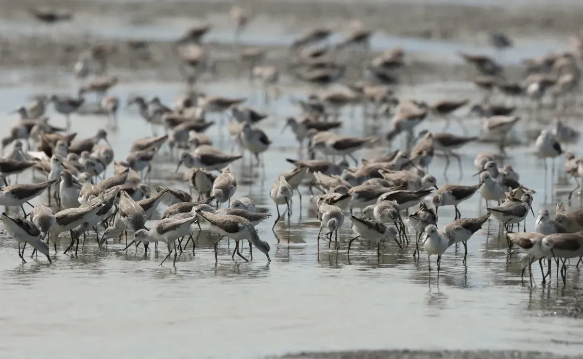 SMC Infrastructure: Transforming the Philippine Economy