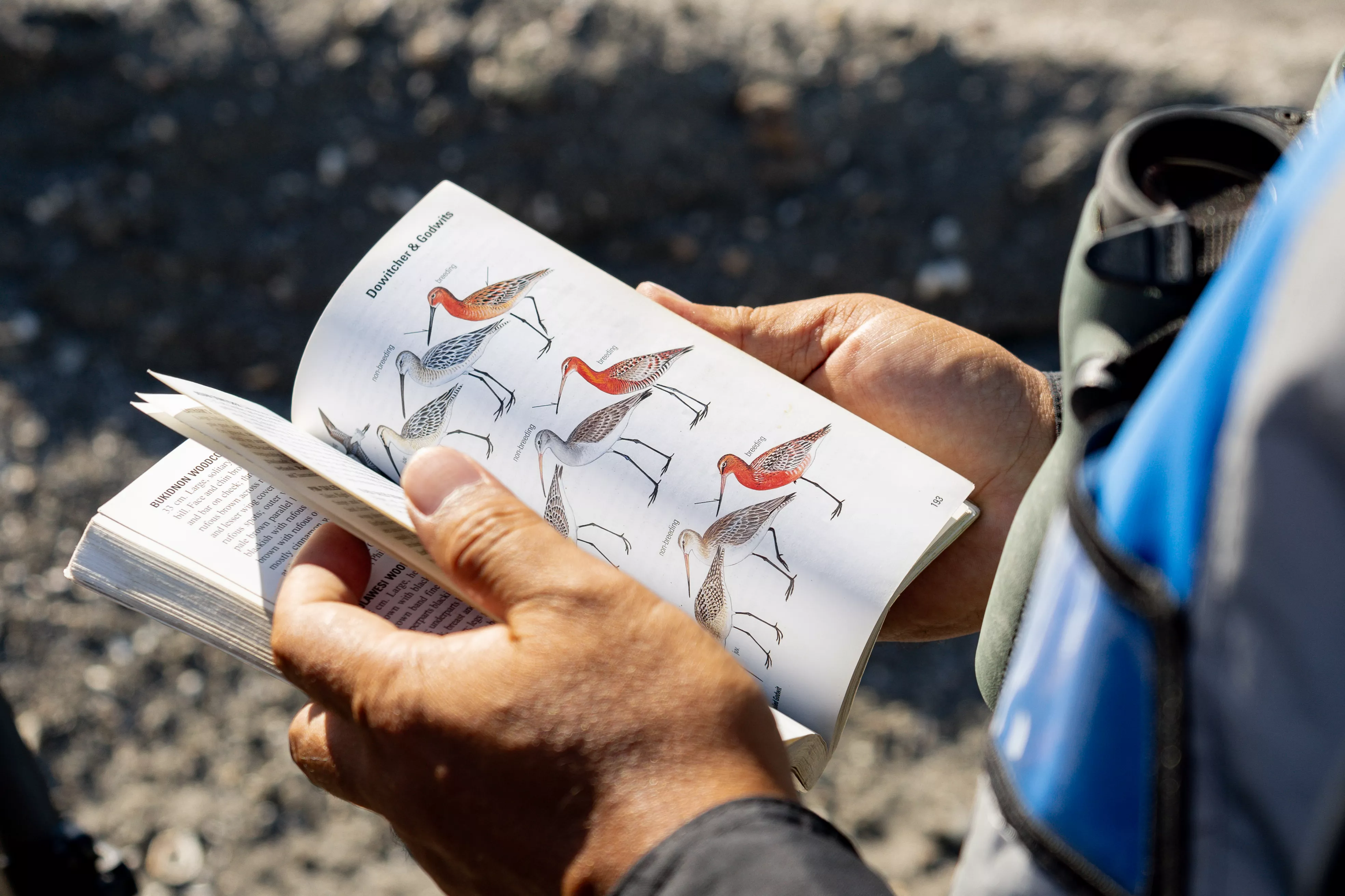 SMC Infrastructure: Transforming the Philippine Economy