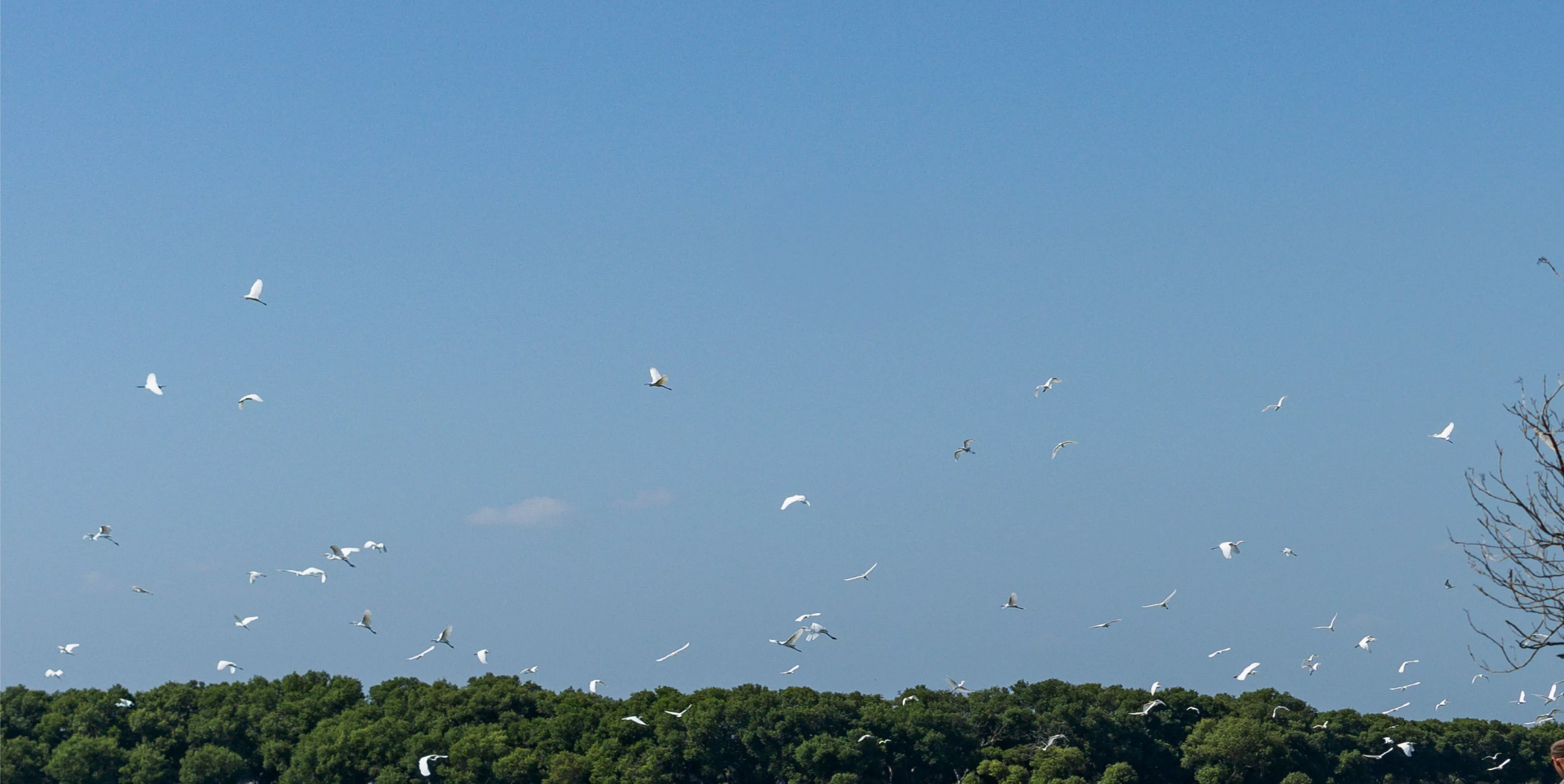 SMC Infrastructure: Transforming the Philippine Economy